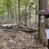 Scenic Trail Cut-off and Maiden Cliff Trail, Maine - 1,598 Reviews, Map ...