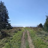The Knoll Loop, Oregon - 3,714 Reviews, Map | AllTrails