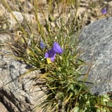 Junco Lake Loop, Colorado - 46 Reviews, Map | AllTrails