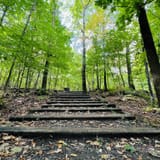 Mount Royal Park Loop, Quebec, Canada - 2,256 Reviews, Map | AllTrails