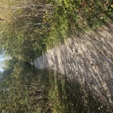 Whiteshell River Bridge Trail, Manitoba, Canada - 429 Reviews, Map ...