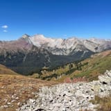 Four Pass Loop, Colorado - 1,915 Reviews, Map | AllTrails