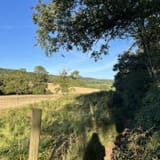 Newlands Corner and St Martha's Hill Circular, Surrey, England - 715 ...