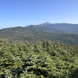 Mount Jackson Trail, New Hampshire - 2,280 Reviews, Map | AllTrails