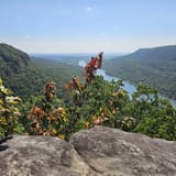 Edward's Point Trail, Tennessee - 2,826 Reviews, Map | AllTrails