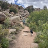 Turtle Rock Loop Trail, Wyoming - 1,479 Reviews, Map | AllTrails