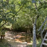 Pine Log Creek Trail, Georgia - 2,604 Reviews, Map | AllTrails