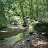 Pine Log Creek Trail, Georgia - 2,604 Reviews, Map | AllTrails