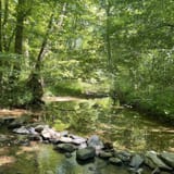 Pine Log Creek Trail, Georgia - 2,604 Reviews, Map | AllTrails