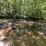 Pine Log Creek Trail, Georgia - 2,604 Reviews, Map | AllTrails