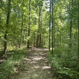 Pine Log Creek Trail, Georgia - 2,604 Reviews, Map | AllTrails