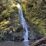 Madison Falls Trail, Washington - 2,127 Reviews, Map | AllTrails