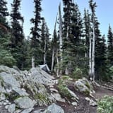 Royal Basin and Royal Lake, Washington - 772 Reviews, Map | AllTrails
