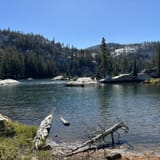 Ten Lakes Trail, California - 542 Reviews, Map | AllTrails