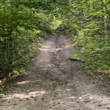 Midhurst Trail , Ontario, Canada - 1,544 Reviews, Map | AllTrails