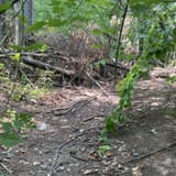 Midhurst Trail , Ontario, Canada - 1,544 Reviews, Map | AllTrails