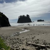 Second Beach, Washington - 2,138 Reviews, Map | AllTrails
