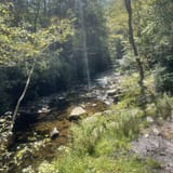 Hawk Falls Trail, Pennsylvania - 3,352 Reviews, Map | AllTrails