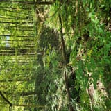 6 Ravine Challenge, Indiana - 1,163 Reviews, Map | AllTrails