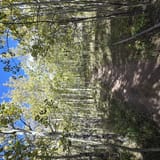 Disappointment Falls via Lady Moon Trail, Colorado - 868 Reviews, Map ...
