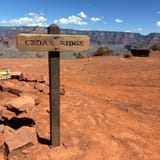 South Kaibab Trail to Cedar Ridge, Arizona - 6,286 Reviews, Map | AllTrails