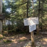 Lonesome Lake Trail, New Hampshire - 4,289 Reviews, Map | AllTrails