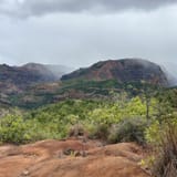 Kukui Trail, Kaua'i, Hawaii - 1,642 Reviews, Map | AllTrails