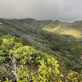 Hawaiʻi Loa Ridge Trail [PRIVATE PROPERTY], Oahu, Hawaii - 1,347 ...