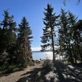 Timothy Lake Loop, Oregon - 290 Reviews, Map | AllTrails
