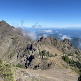 Mount Ellinor Trail, Washington - 2,958 Reviews, Map | AllTrails