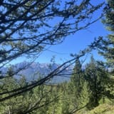 Lady Macdonald Teahouse, Alberta, Canada - 2,077 Reviews, Map | AllTrails