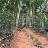 Mount Lambak, Johor, Malaysia - 222 Reviews, Map | AllTrails