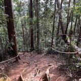 Mount Lambak, Johor, Malaysia - 222 Reviews, Map | AllTrails