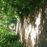 Teversal, Silverhill Wood, and Pleasley Pit, Nottinghamshire, England ...