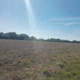 Teversal, Silverhill Wood, and Pleasley Pit, Nottinghamshire, England ...