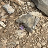 Mount Zas (Zeus) Trail, Naxos, Greece - 578 Reviews, Map | AllTrails