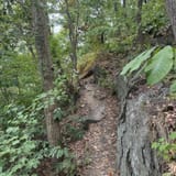 Turkey Hill Trail, Pennsylvania - 2,063 Reviews, Map | AllTrails