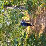 Island Loop Trail, Massachusetts - 154 Reviews, Map | AllTrails