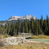 Yoho Pass - Yoho Lake, British Columbia, Canada - 302 Reviews, Map ...