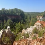 Canyon Loop Trail, Georgia - 2,518 Reviews, Map | AllTrails