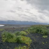 Tonsina Creek Trail, Alaska - 1,737 Reviews, Map | AllTrails