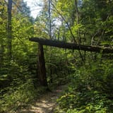 Sprague Brook Park Trail, New York - 1,461 Reviews, Map | AllTrails