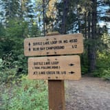Suttle Lake Loop, Oregon - 857 Reviews, Map | AllTrails
