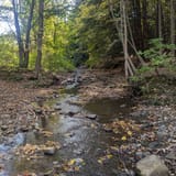 Sprague Brook Park Trail, New York - 1,461 Reviews, Map | AllTrails