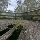 Anchorage Trail, Kentucky - 765 Reviews, Map | AllTrails