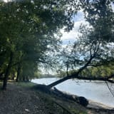 Pike Island Loop, Minnesota - 2,555 Reviews, Map | AllTrails