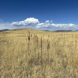 North Table Mountain via Rim Rock and North Table Mountain Loop ...