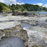 Furnas Lagoon Trail, Azores, Portugal - 514 Reviews, Map | AllTrails