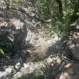 Poly Canyon Loop Trail, California - 512 Reviews, Map | AllTrails