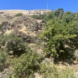 Poly Canyon Loop Trail, California - 512 Reviews, Map | AllTrails